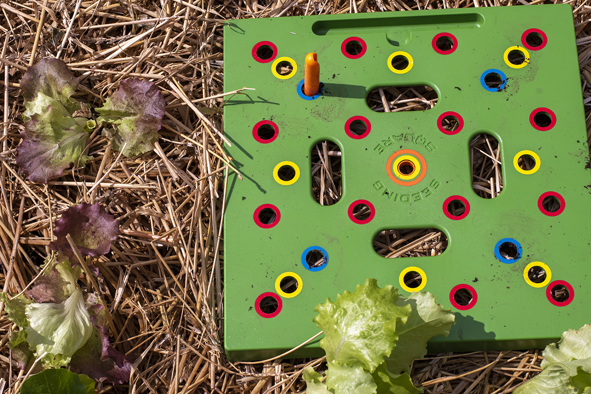 Square Foot Gardening: The Simplest & Most Efficient Way To Grow Food