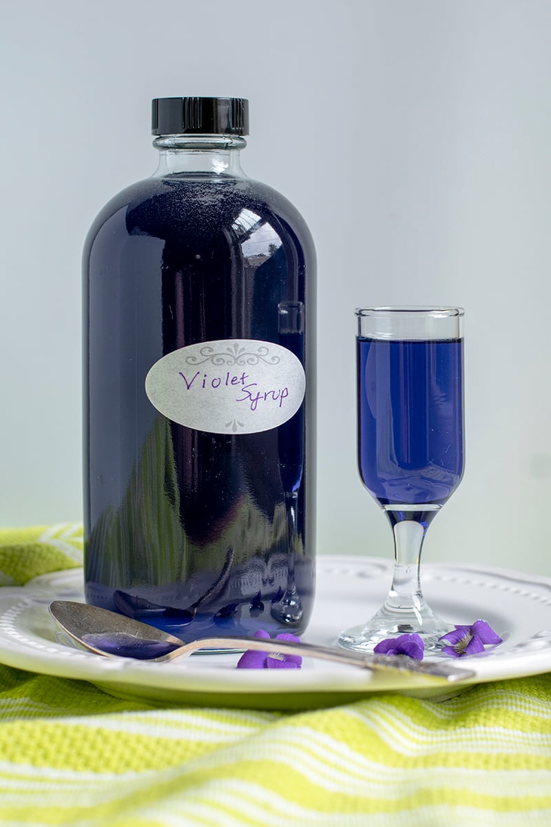Foraging Violets & Homemade Violet Syrup