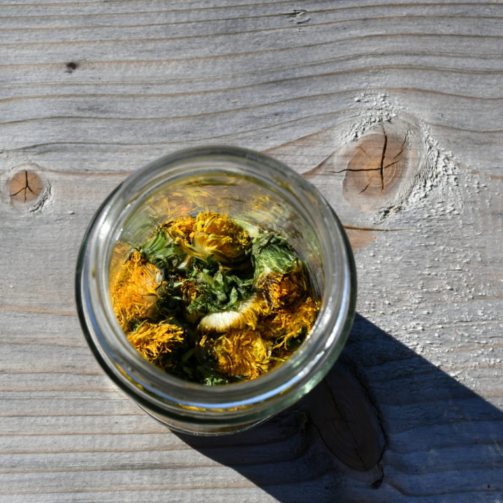 DIY Dandelion Infused Oil + 6 Ways To Use It