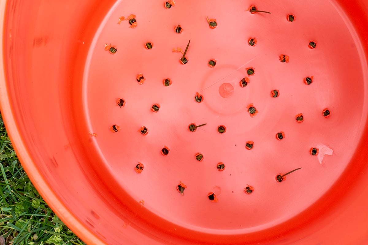 How To Make an Easy DIY Worm Tower for Under $15 (or FREE!)
