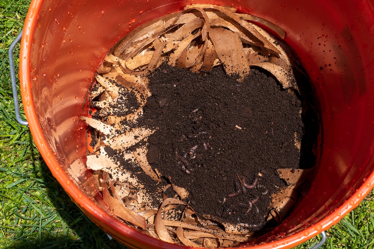 How To Make an Easy DIY Worm Tower for Under $15 (or FREE!)