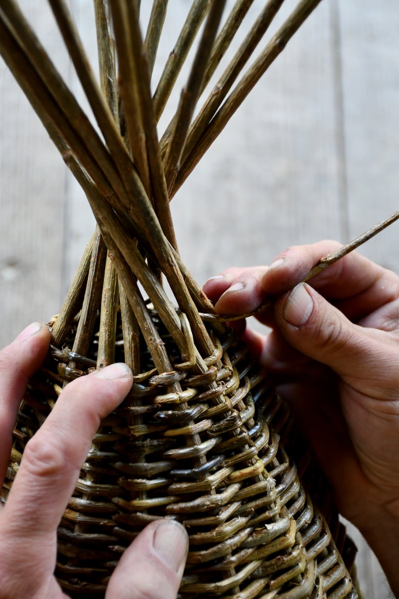 How To Create a Beautiful and Practical Woven Willow Bird Basket