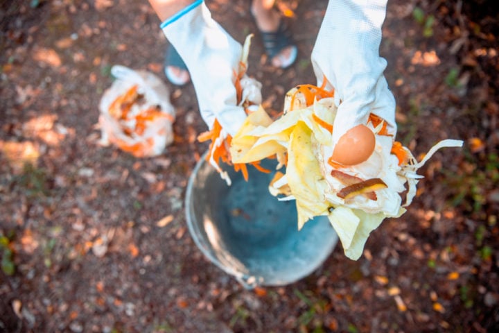 How to Stop Your Herbs & Vegetables from Bolting