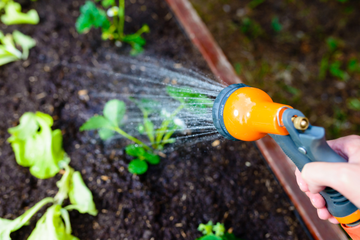 How To Water Your Garden Plants While You're Away