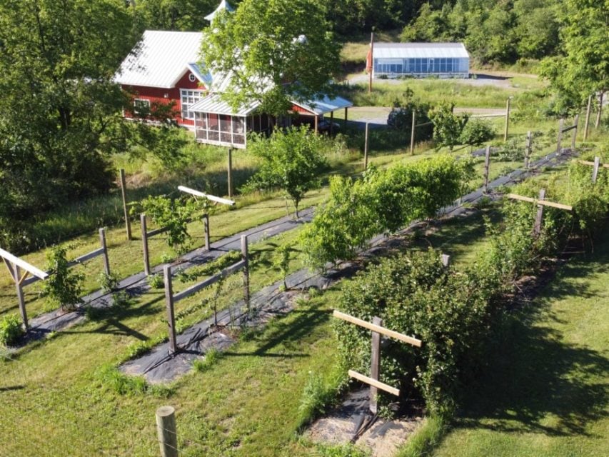 Matthew Olshan, Author at Rural Sprout