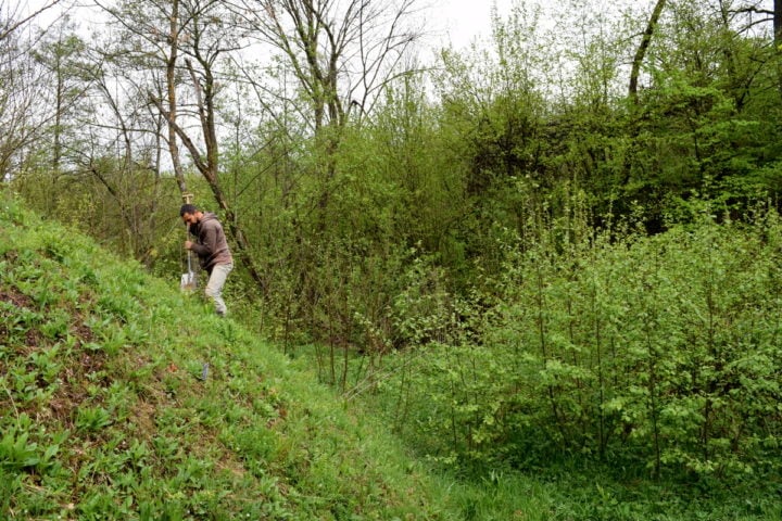 11 Reasons to Plant More Trees in Your Garden and Backyard