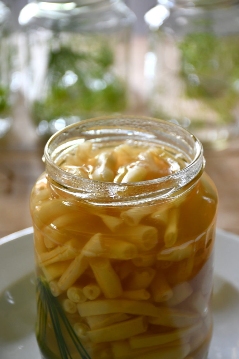 Dilly-Garlic Pickled Beans Canning Recipe