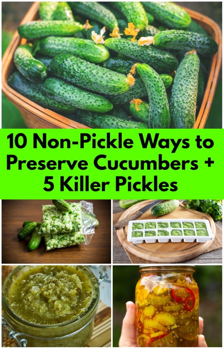 10 Non-Pickle Ways to Preserve Cucumbers + 5 Killer Pickles