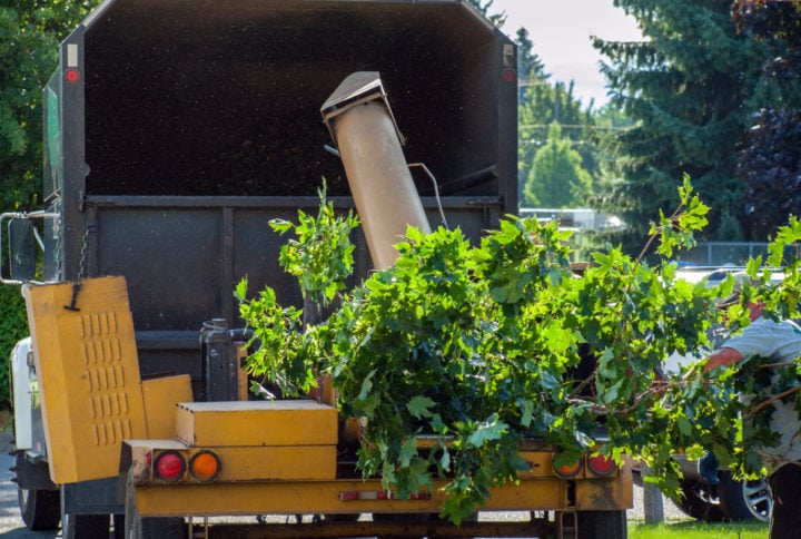 10 Smart Ways of Collecting Free Firewood