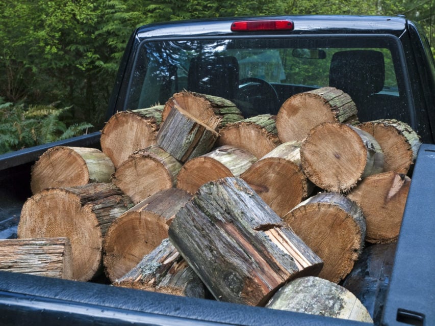 10 Smart Ways of Collecting Free Firewood