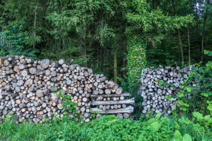 10 Smart Ways of Collecting Free Firewood