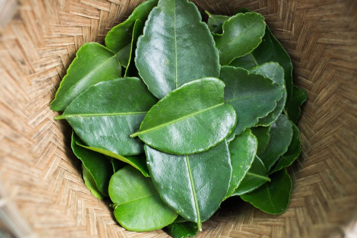 7 Uses For Citrus Leaves You've Got To Try