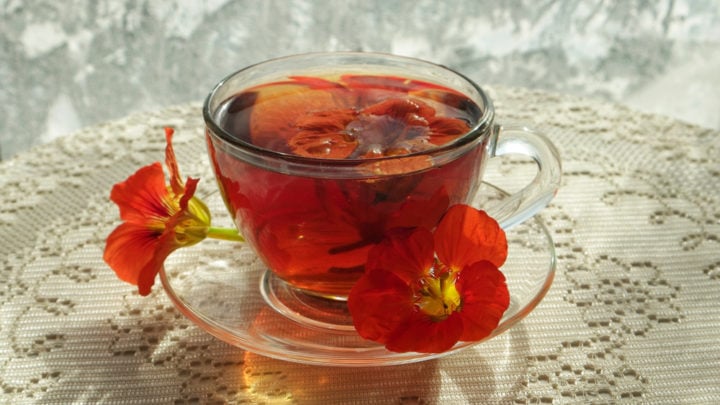 15 Uses For Nasturtium Leaves, Flowers, Seeds & Stems