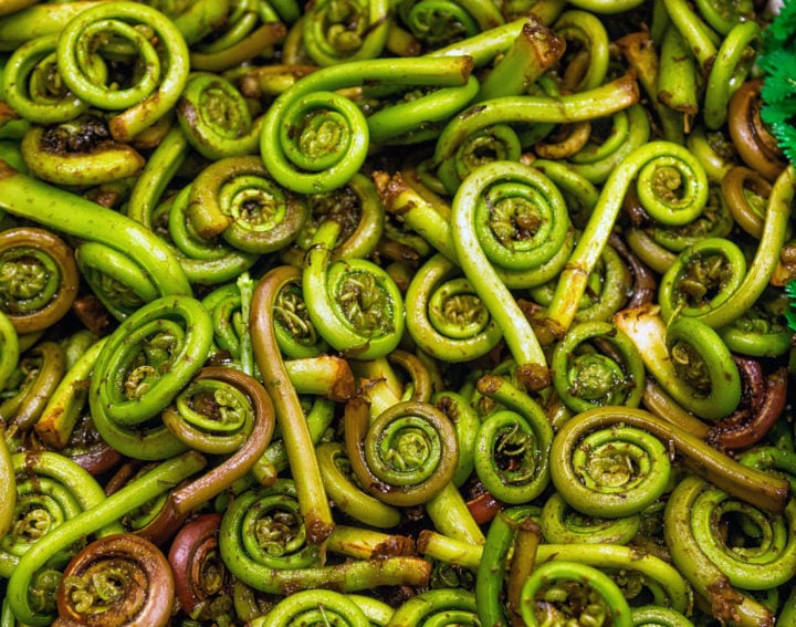 Edible Ferns: Identifying, Growing & Harvesting Fiddleheads