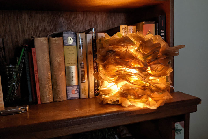 32 Brilliant Ways to Reuse Plastic Grocery Bags