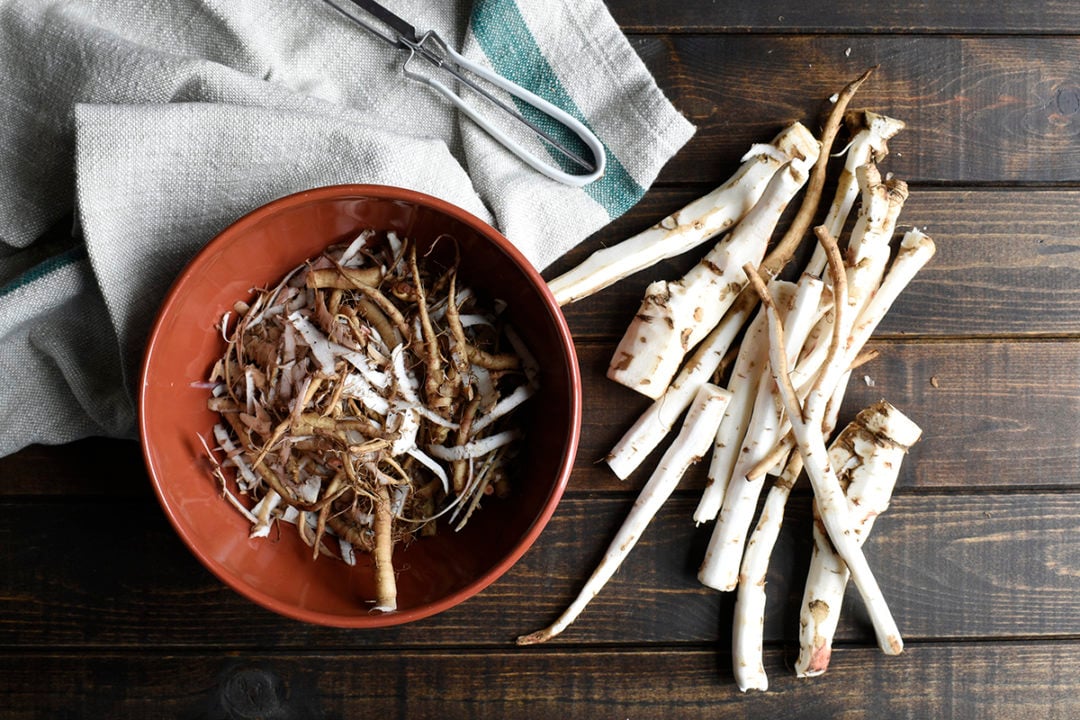 Harvesting Dandelion Roots + 3 Brilliant Uses