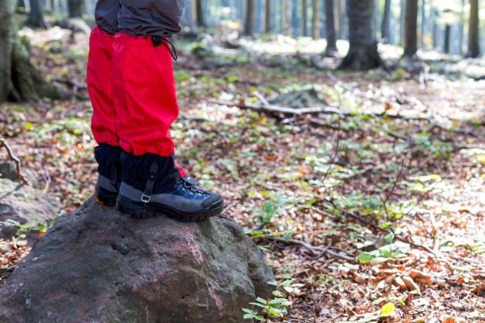 The Ultimate Foragers Gift Guide - 12 Great Gift Ideas