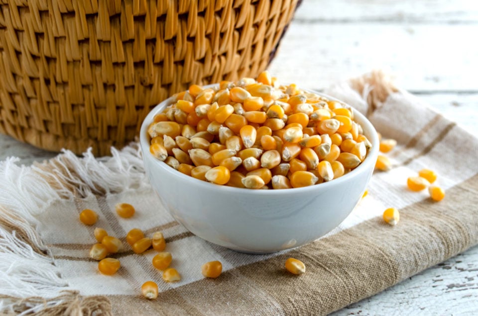 Grow Your Own Popcorn + 6 Varieties to Try