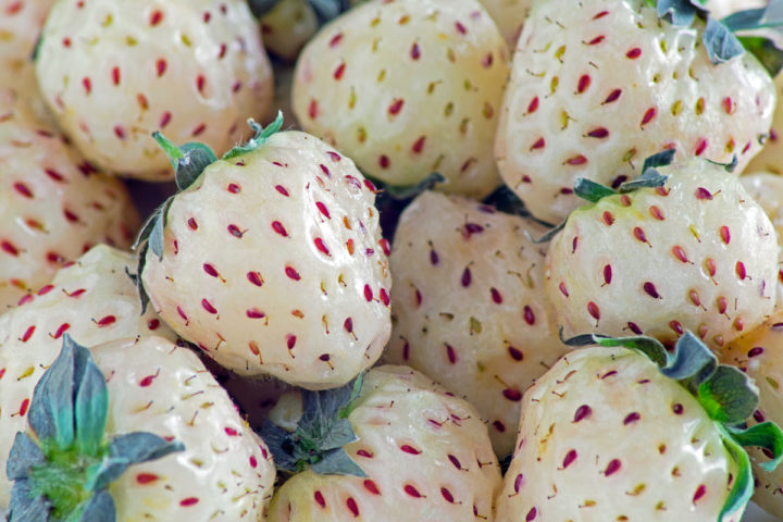 How to Grow Pineberries - The White Strawberry With A Tropical Flavor