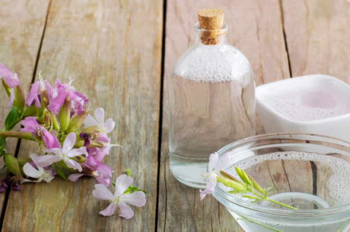 Grow Soap: 8 Saponin Rich Plants That Can Be Made Into Soap