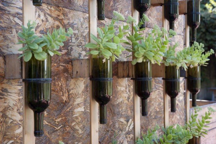 20 Epic Ways To Reuse Glass Bottles in Your Garden