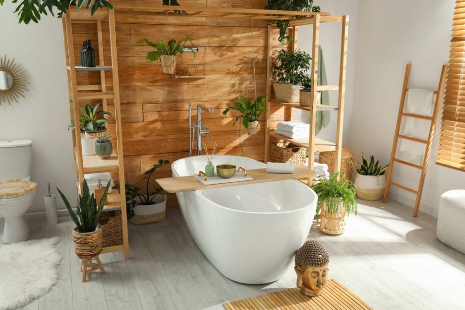 10 Plants For Your Bathroom & 3 That Won't Survive There