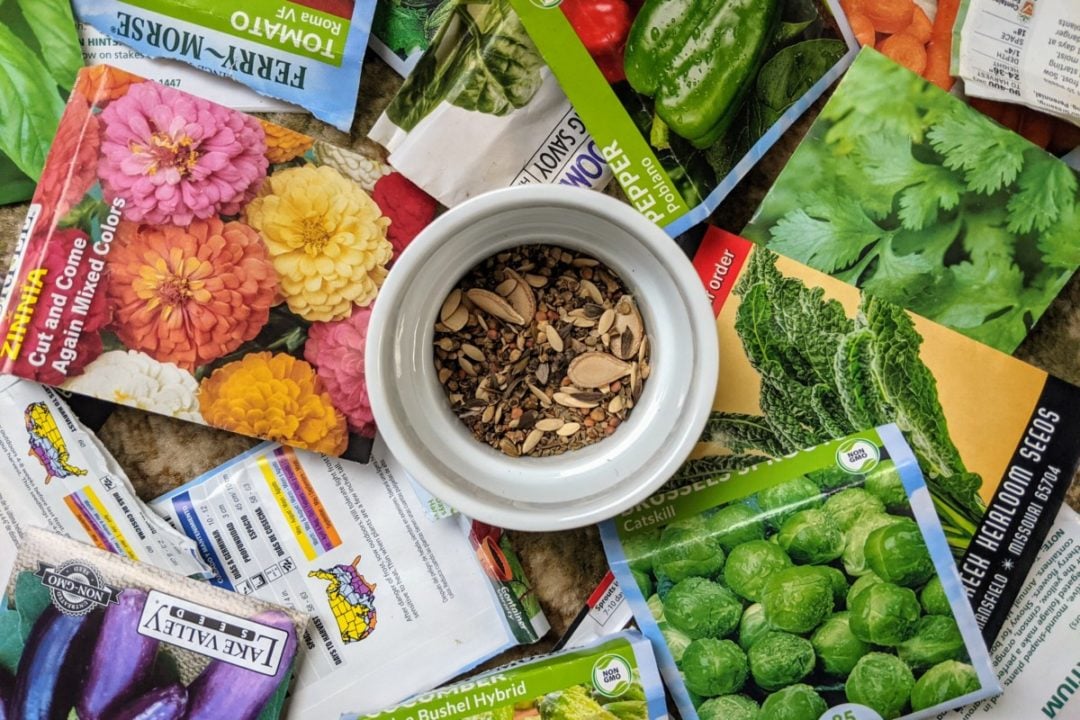 How To Quickly Test Garden Seeds For Viability (+ How Long Do Seeds Last?)