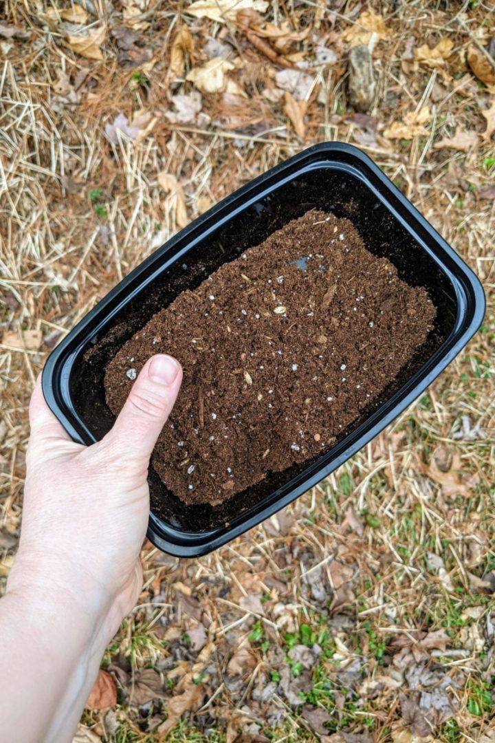 How To Plant a Chaos Garden - Nature's Perfect Garden Plan