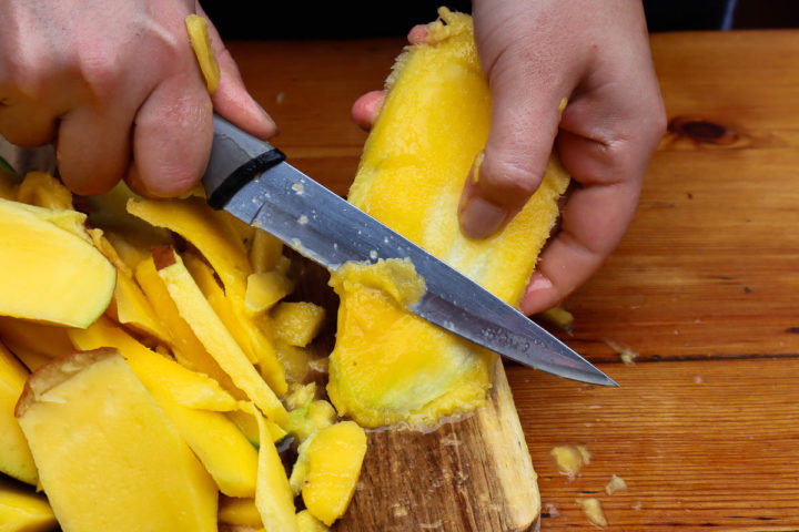 How To Grow A Mango Tree From Seed - Step-By-Step