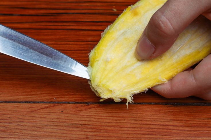 How To Grow A Mango Tree From Seed - Step-By-Step