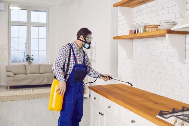 5 Ways To Get Rid Of Mice In Your House (& 8 Ways That Don't Work)