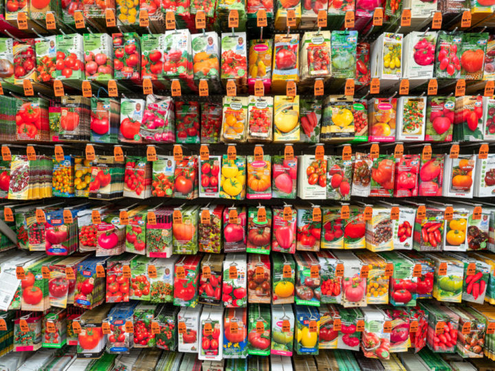 9 Things You Need To Know Before Planting A Single Tomato Seed