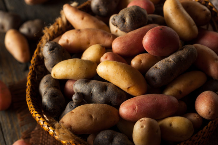 10 Things You Must Know Before Planting Potatoes In The Ground