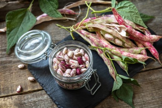 7 Reasons To Grow Dry Beans + How to Grow, Harvest & Store Them