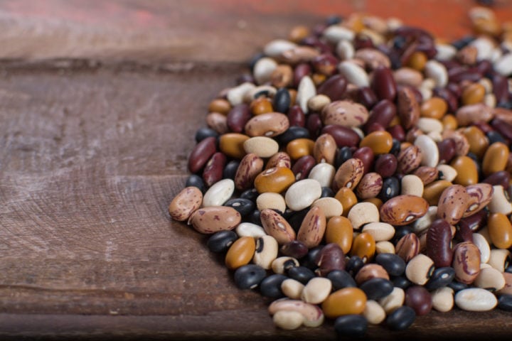 7 Reasons To Grow Dry Beans + How to Grow, Harvest & Store Them