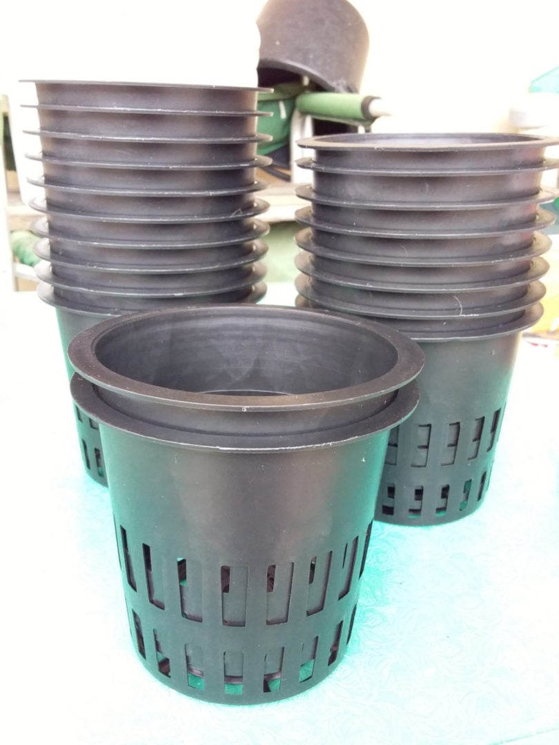 Kratky Method: The "Set It & Forget It" Way To Grow Herbs In Water