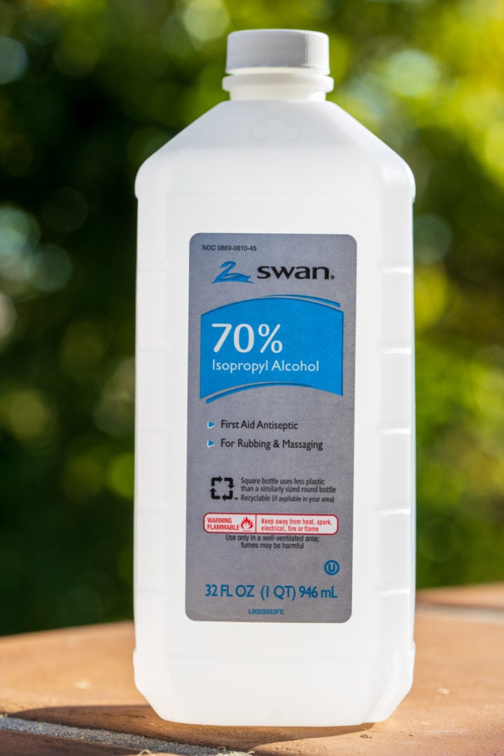 How To Get Rid Of Scale On Houseplants + The One Thing Not To Do