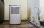 7 Ways to Get Rid of Silverfish Once and For All