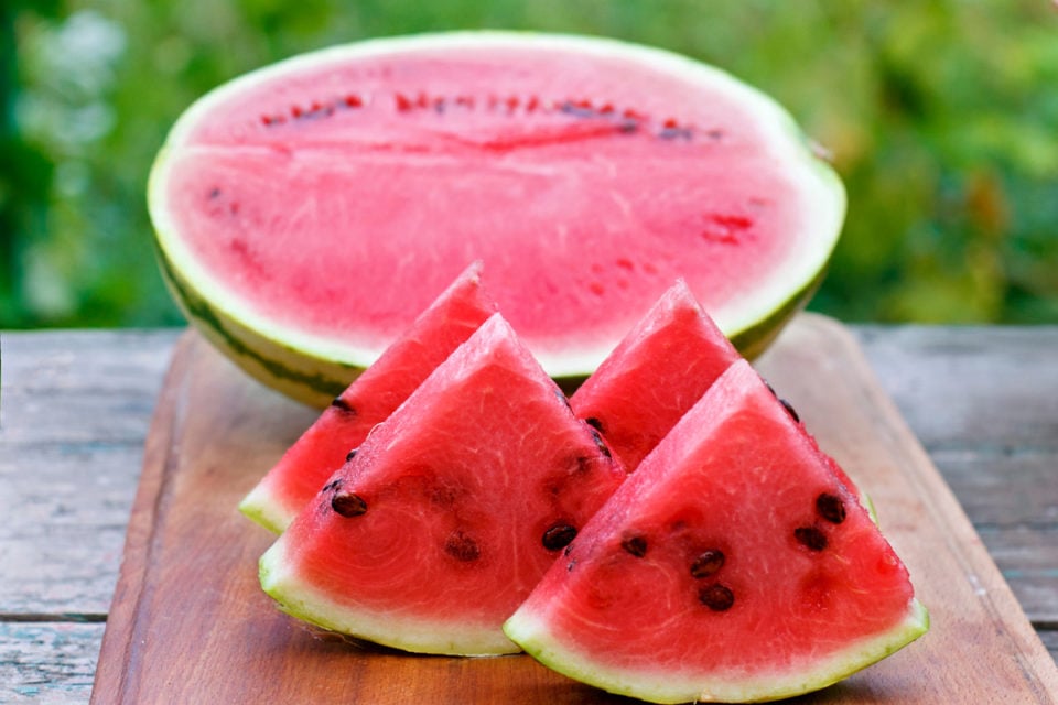 8 Secrets to Grow Amazing Watermelon + How to Know When They're Ripe 8 Secrets to Grow Amazing Watermelon + How to Know When They're Ripe
