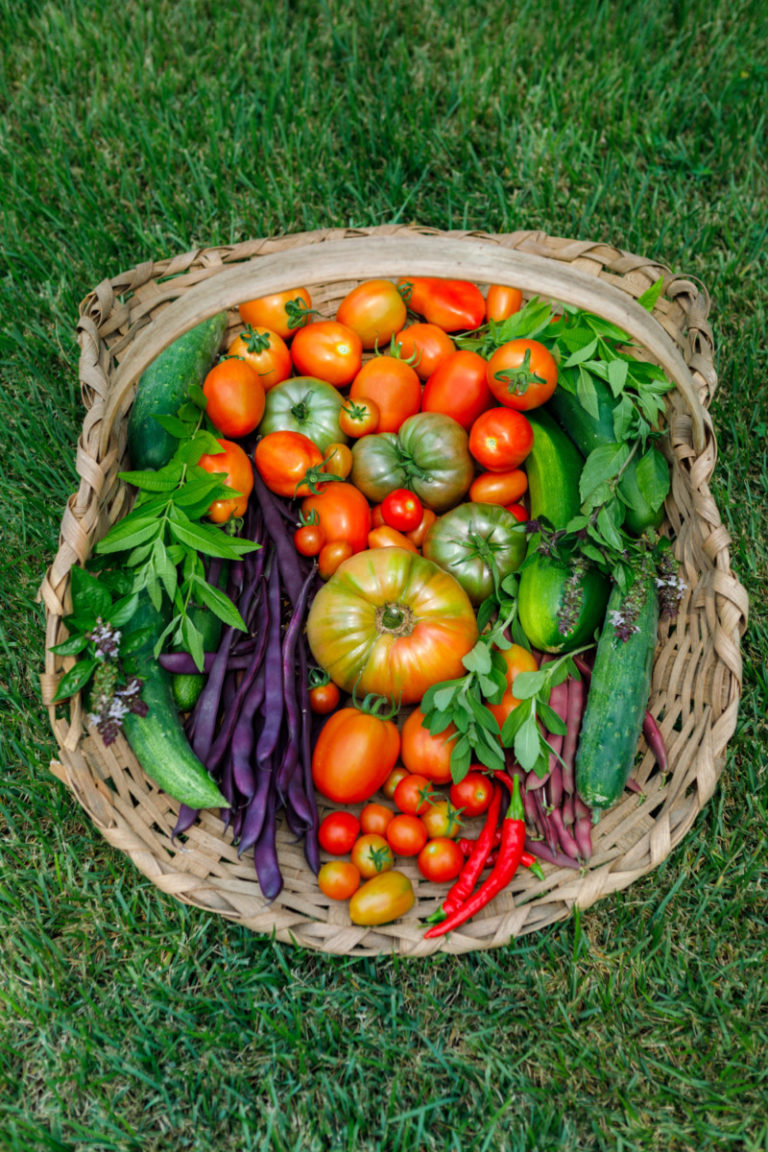 Grow Your Vitamins - 20 Most Nutrient Dense Veggies to Grow in Your Garden