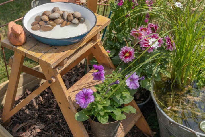 7 Bee Watering Station Ideas to Provide Drinking Water for Bees