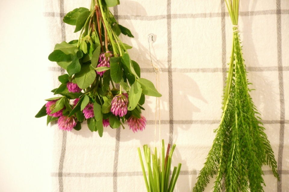 The Easiest DIY Herb & Flower Drying Screen Anyone Can Make