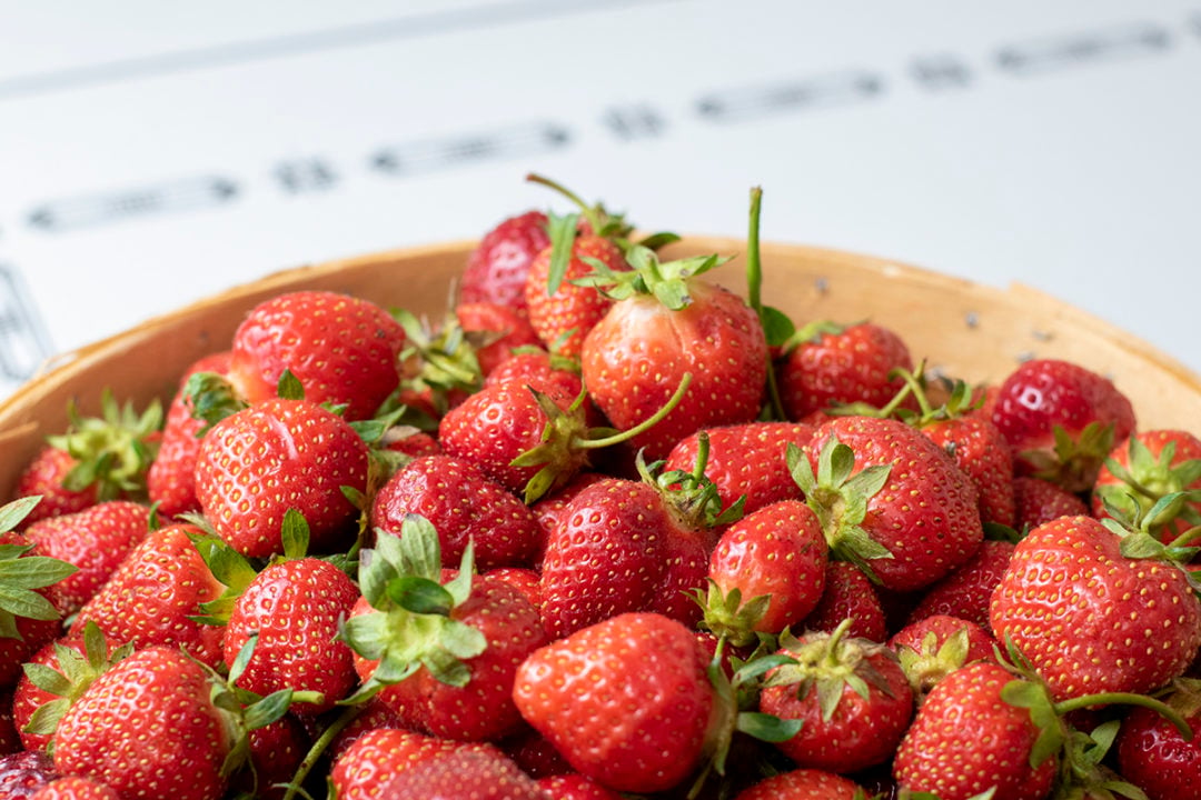 Super Easy DIY Strawberry Powder & 7 Ways To Use It