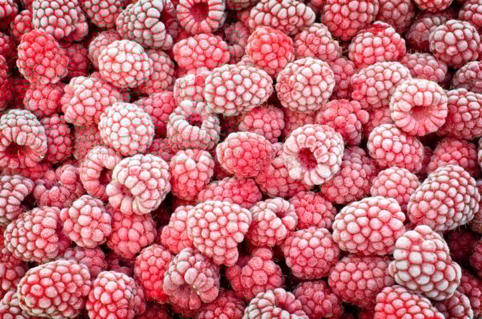 30 Delicious Recipes To Use Up a Glut of Raspberries