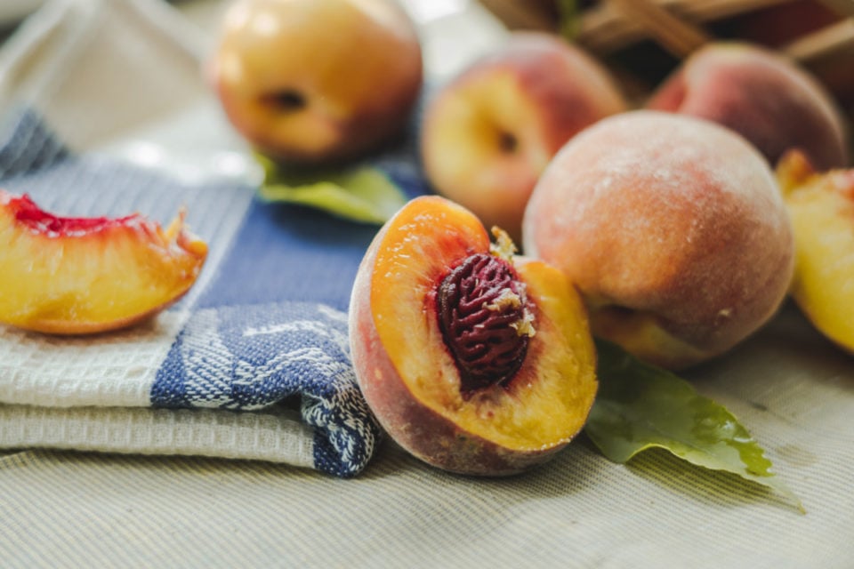 How to Prune Fruit Trees in Summer & Why You Should
