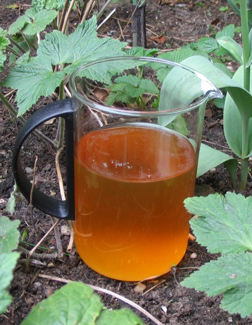 6 Clever Uses for Urine in the Garden