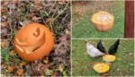 7 Frighteningly Clever Things To Do With Pumpkins After Halloween