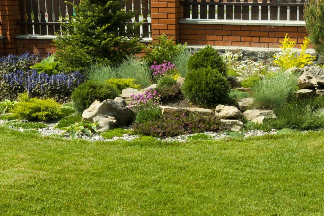 How To Start A Rain Garden + 14 Best Plants To Put In It