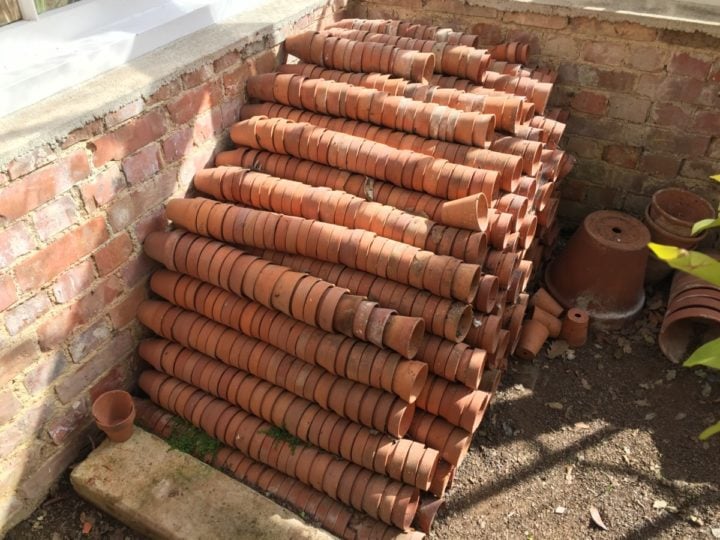 8 Things You Need to Know Before Using Terracotta Pots