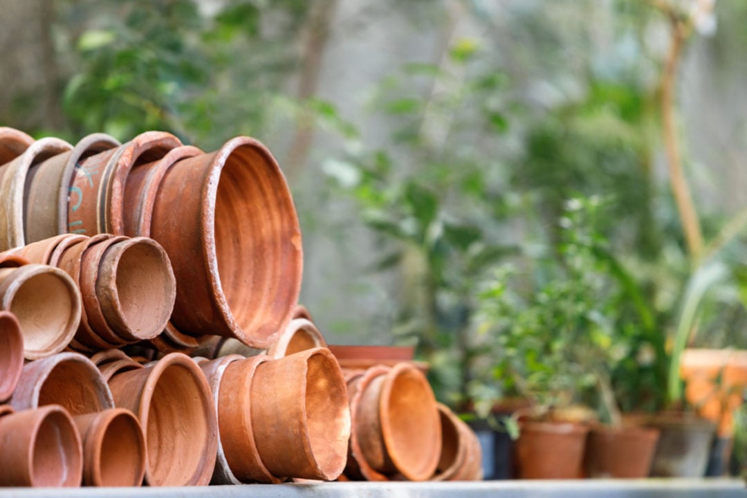 8 Things You Need to Know Before Using Terracotta Pots